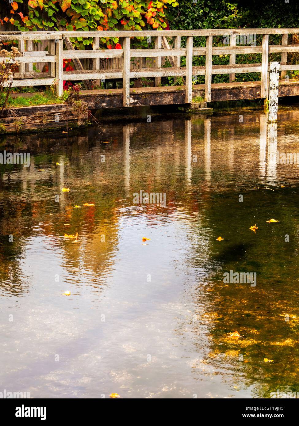 River whitewater hampshire uk hi-res stock photography and images - Alamy