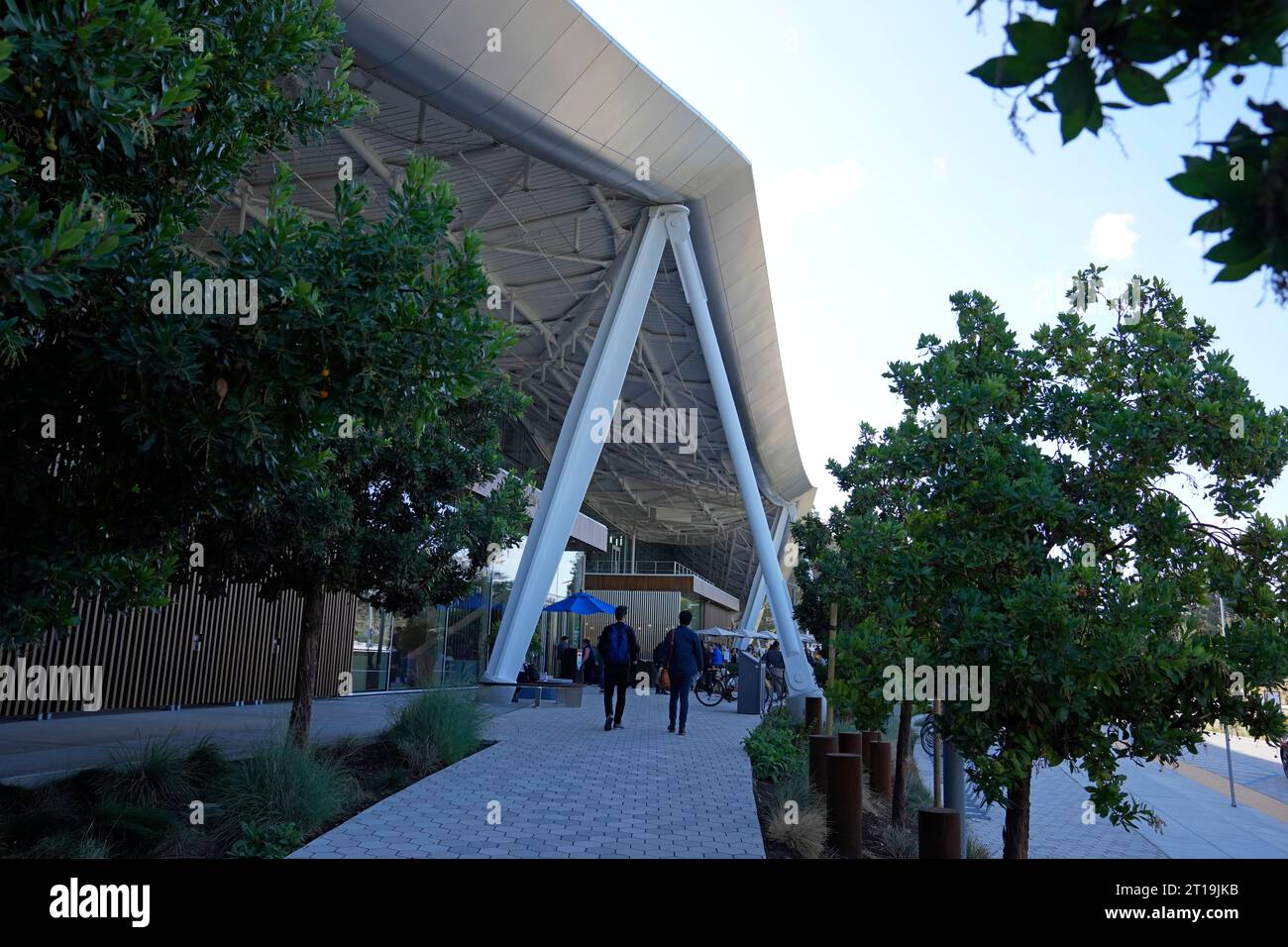Two men walk up a pathway outside the Gradient Canopy to the Google ...