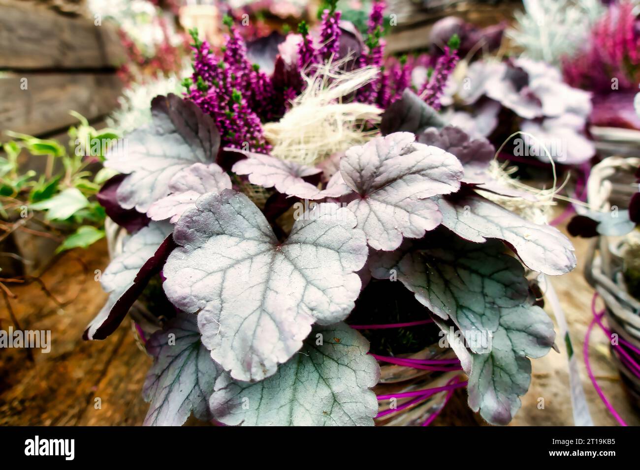 a setup for decoration purposes with some flowers and colored ...