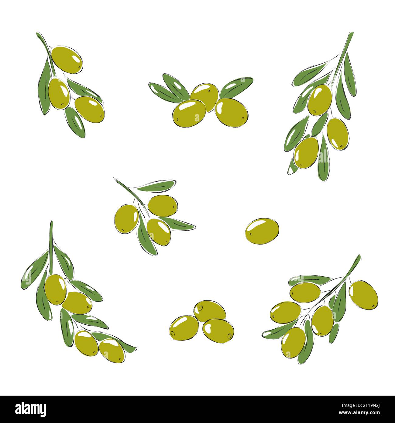 Charcoal olives set, colored olives vector illustration Stock Vector ...