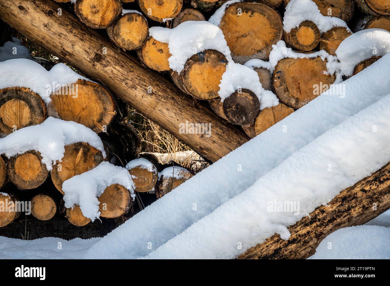 Lake Dobbiaco. Treasure chest among the Dolomites. Winter atmosphere ...