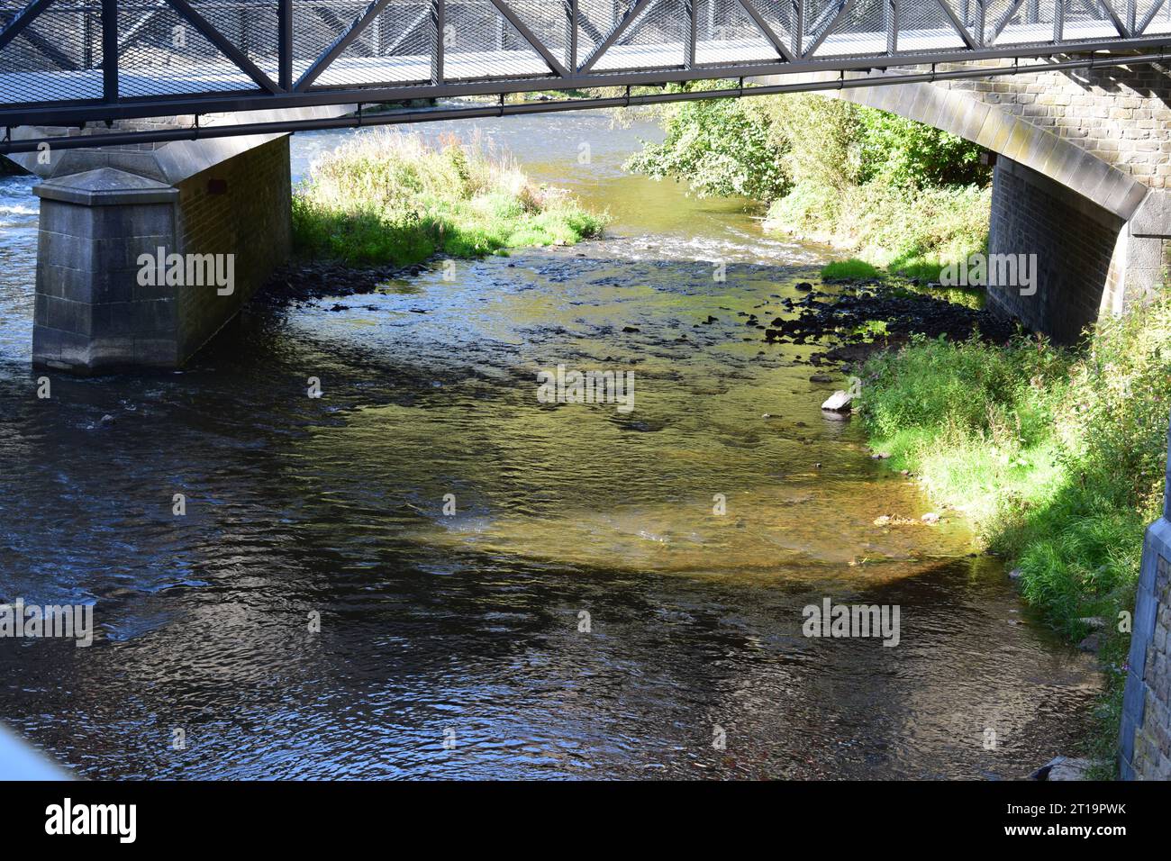 low river under a bridge in Belgium Stock Photo - Alamy