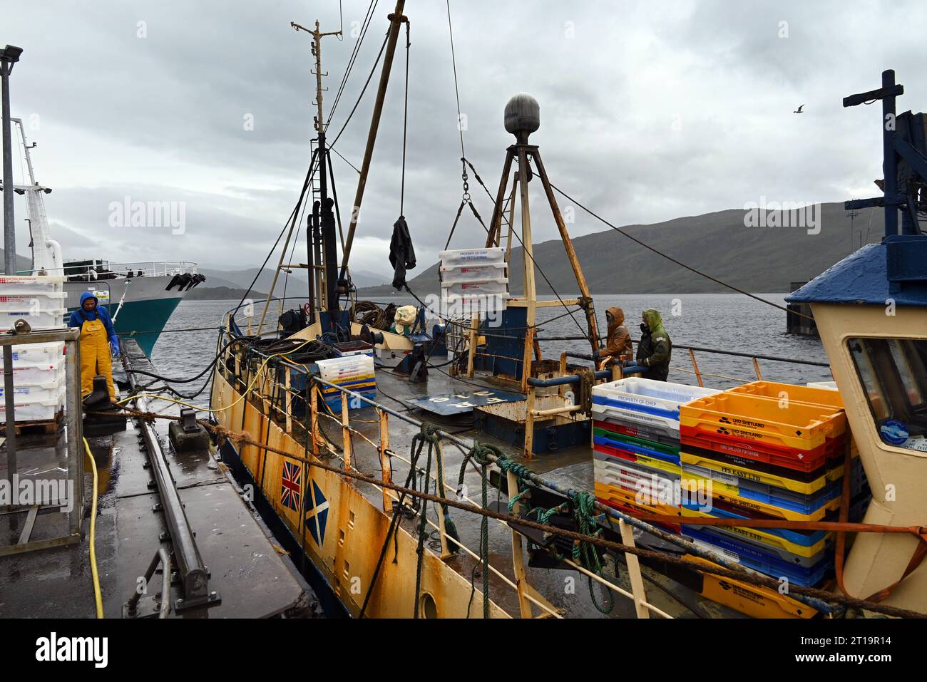 After a campaign at sea, a trawler unloads its catch in the harbour of ...