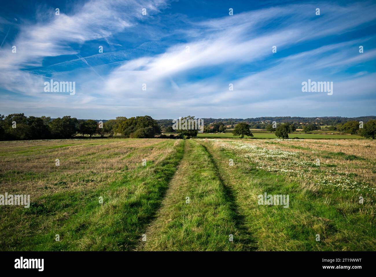 Rural countryside landscape pathway hi-res stock photography and images ...