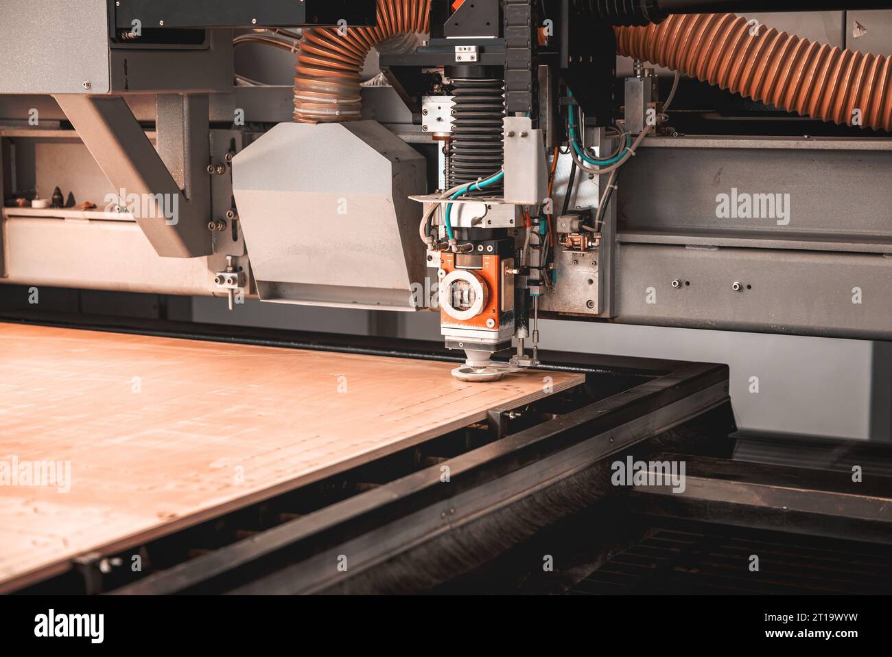 Laser cutting machine cutting the sheet of wood. Hi-technology ...