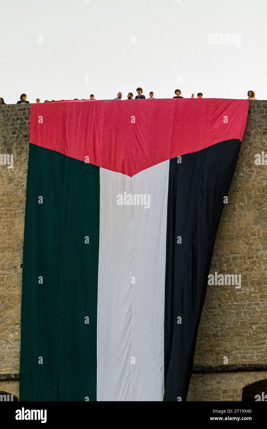 A large flag about 30 metres long with the colours of Palestine was ...