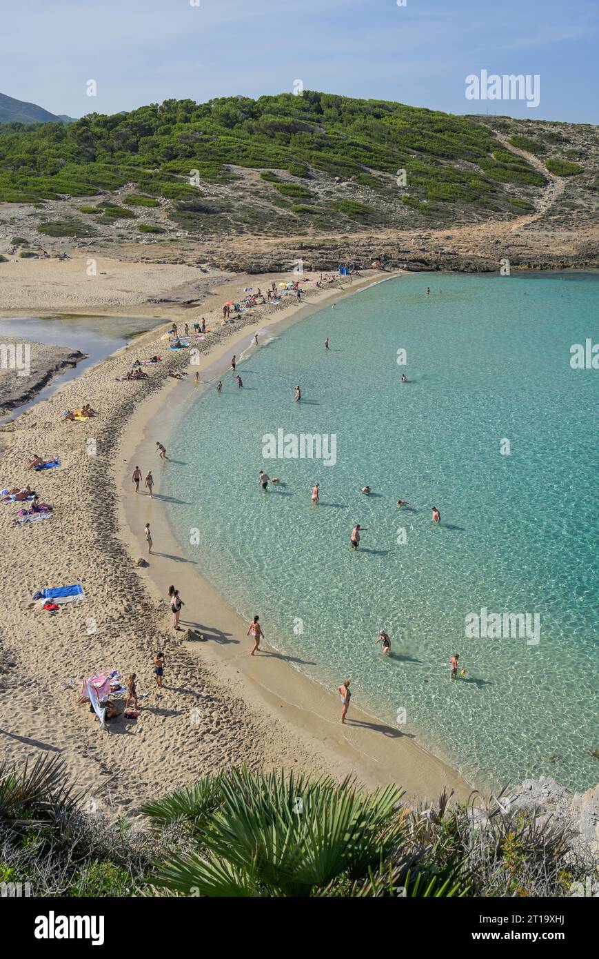 Badebucht Cala Torta, Mallorca, Spanien Stock Photo - Alamy