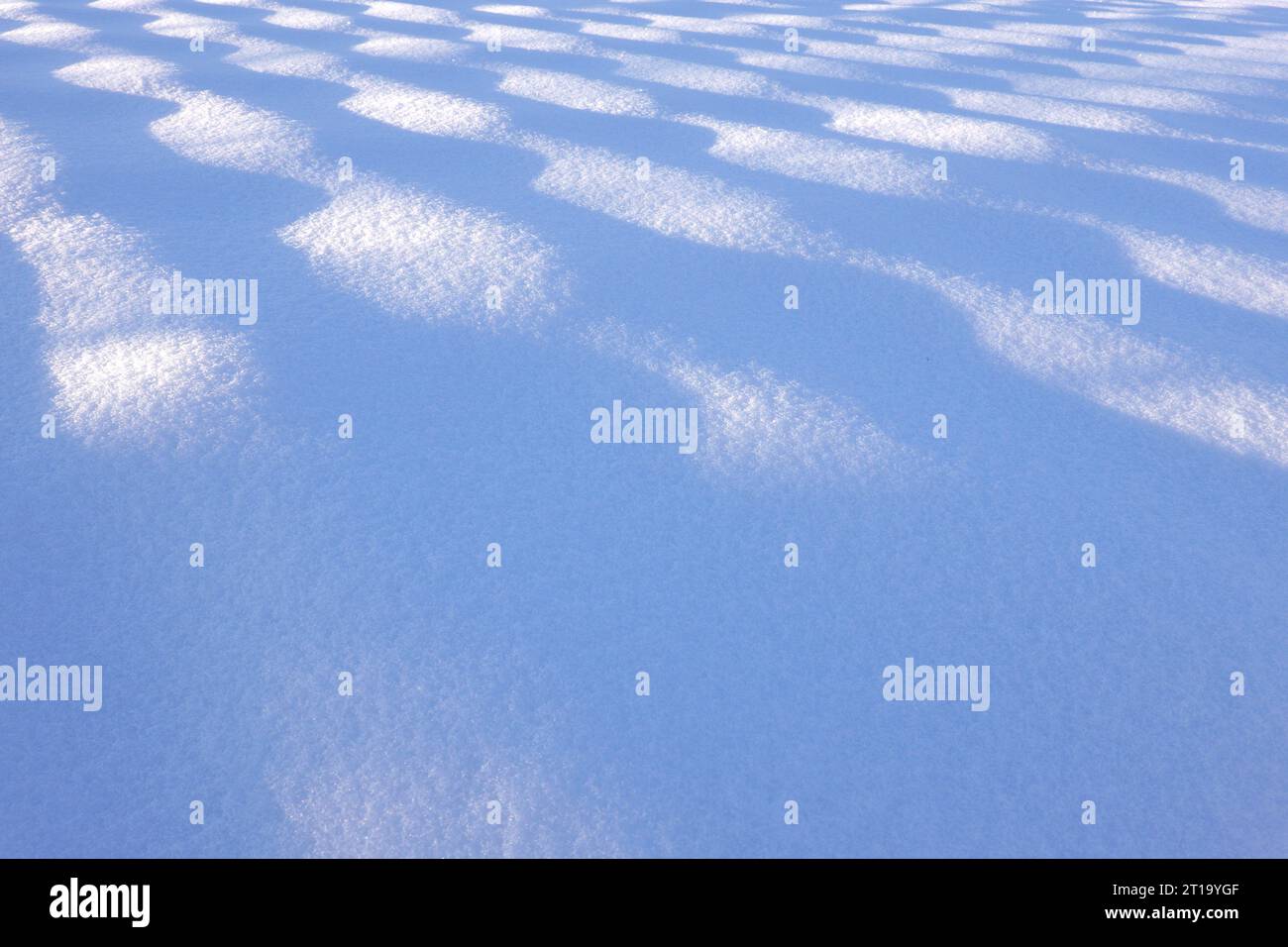 Wide snow field with many wave shaped snow surface from clear white ...