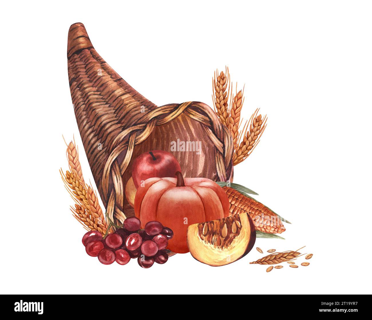 Watercolor cornucopia (horn of plenty) with pumpkin and vegetable. Hand ...