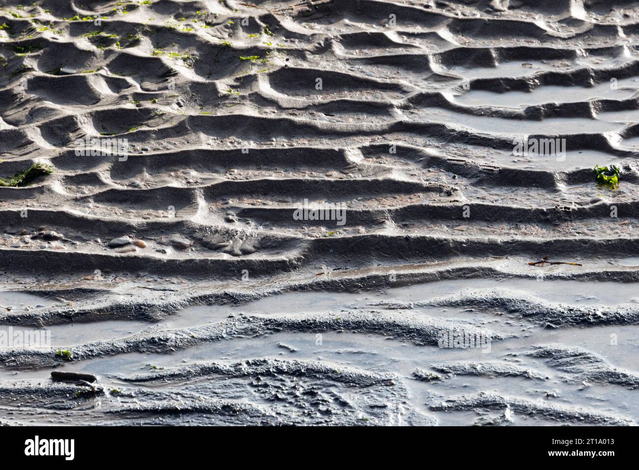 A fast receding tide has left a pattern of ripples that attests to the ...