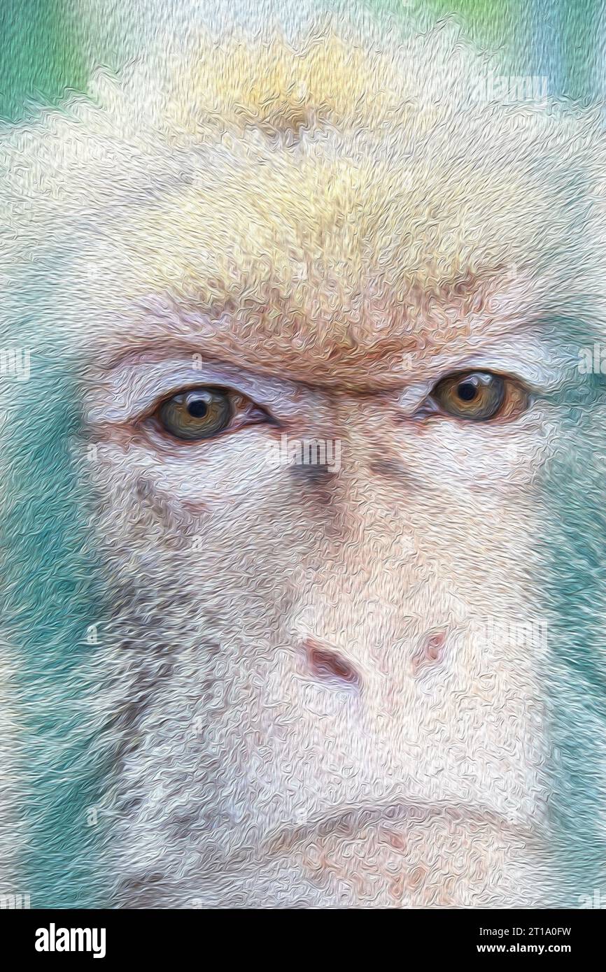 Close-up on macaque monkey face with oil painting effect Stock Photo ...