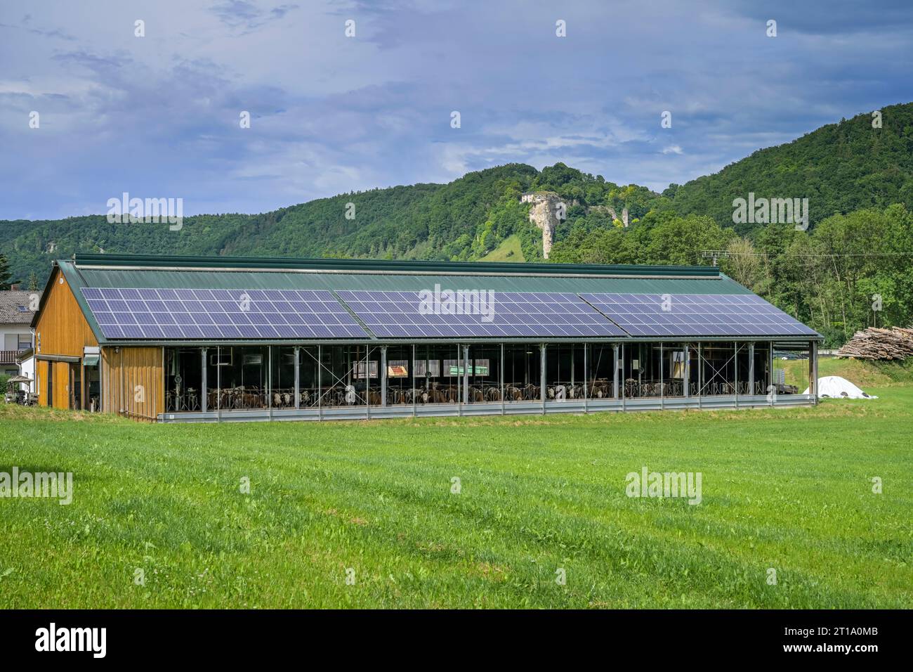 Kuhstall kuhstall hi-res stock photography and images - Alamy