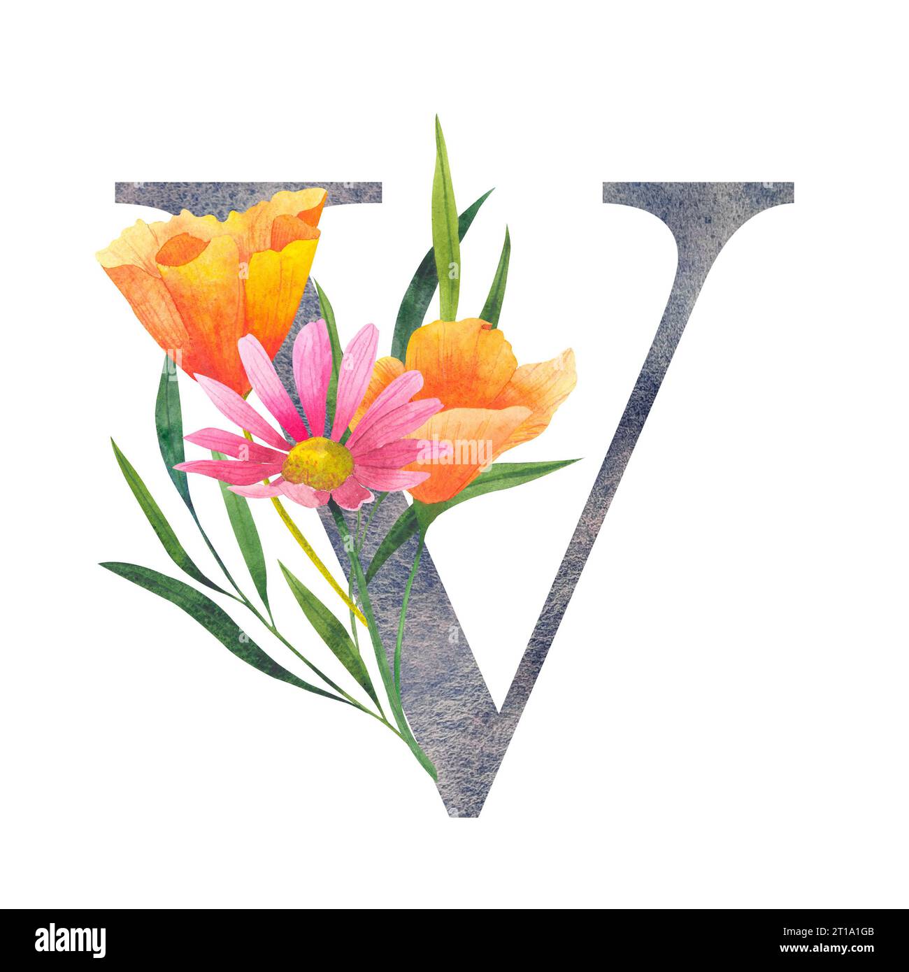 Letter V with watercolor wildflowers. Floral alphabet, isolated with ...