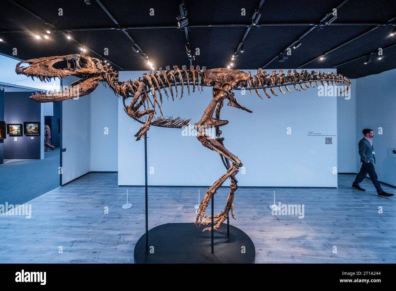 London, UK. 12th Oct, 2023. A jouvenile t-rex skeleton )approx 66m ...