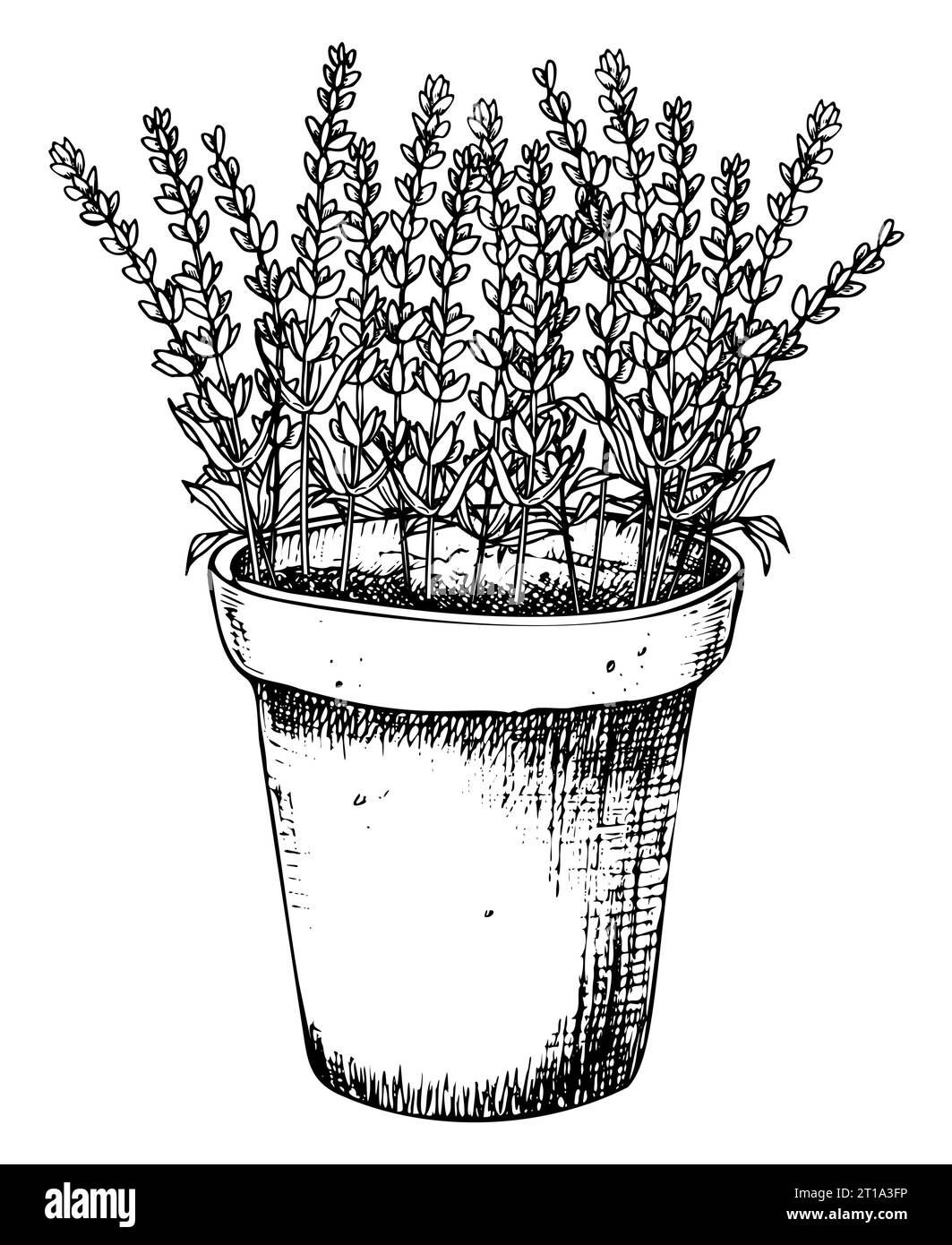 Wild flower bouquet in Black and White Stock Photos & Images - Alamy