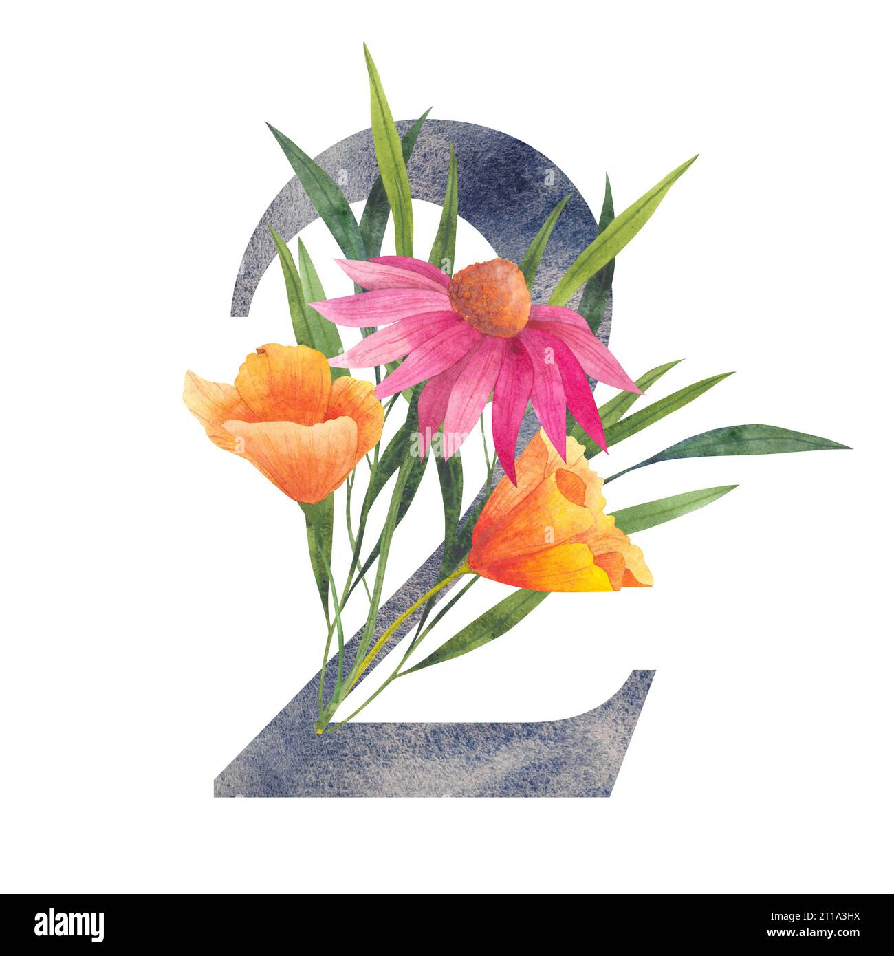 Floral Number 2. Watercolor element two with botanical wildflowers ...