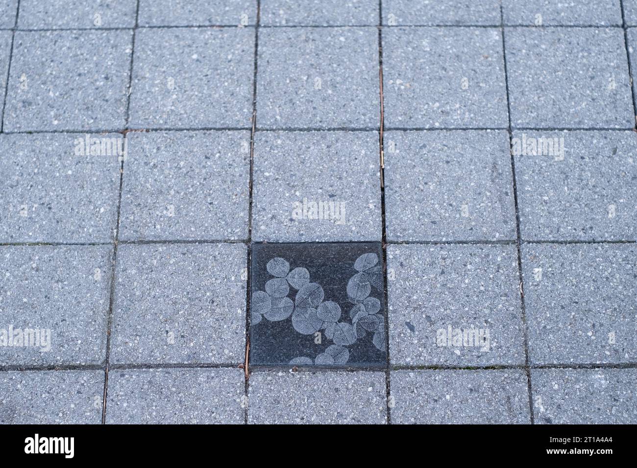 Photograph of paving slabs, all of which are plain except one lower ...