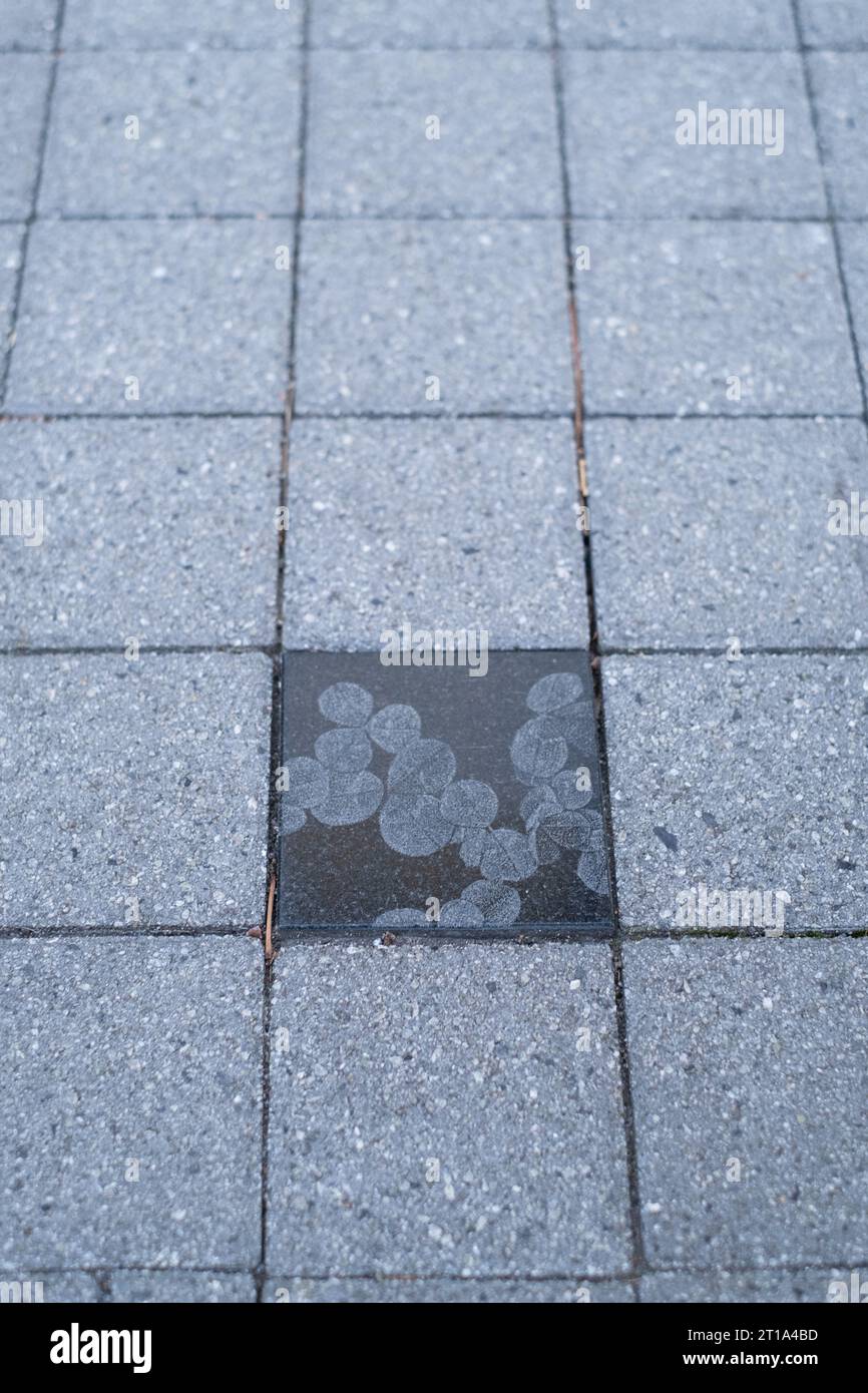 Photograph of paving slabs, all of which are plain except one lower ...