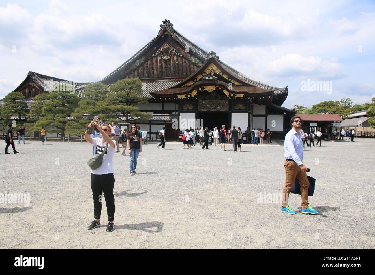 Palace of the Shogun (Japan Stock Photo - Alamy