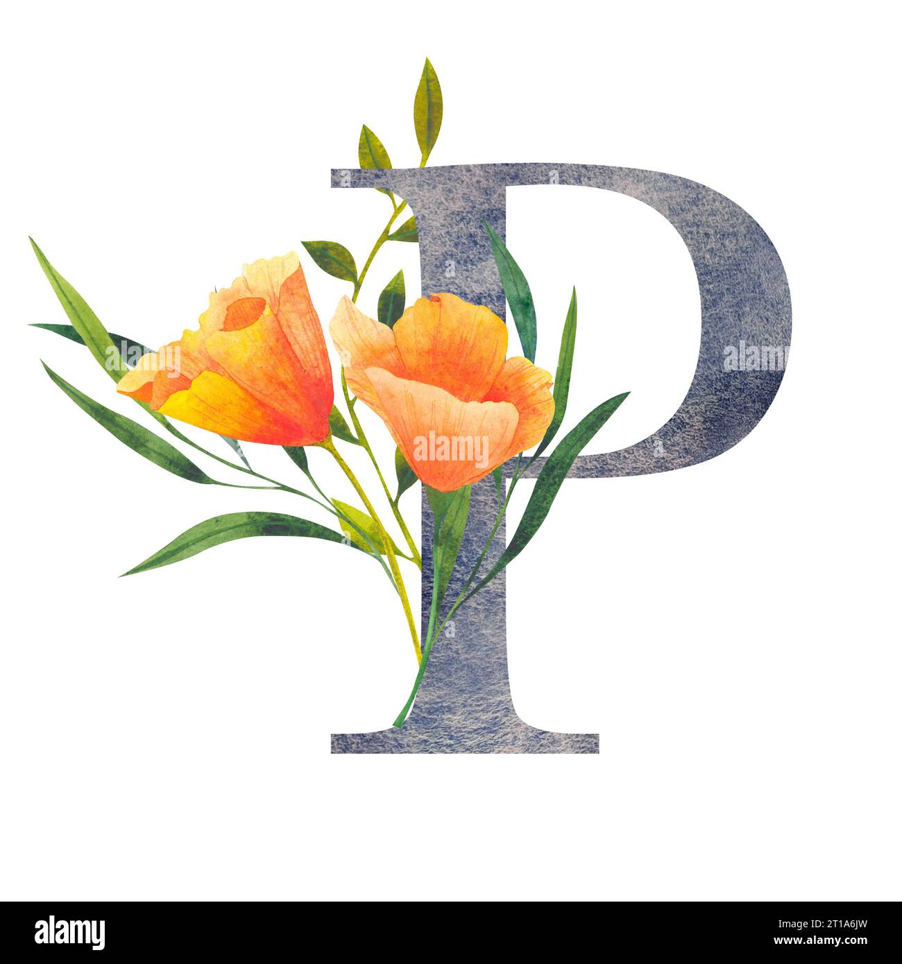 Letter P with watercolor wildflowers. Floral alphabet, isolated with ...