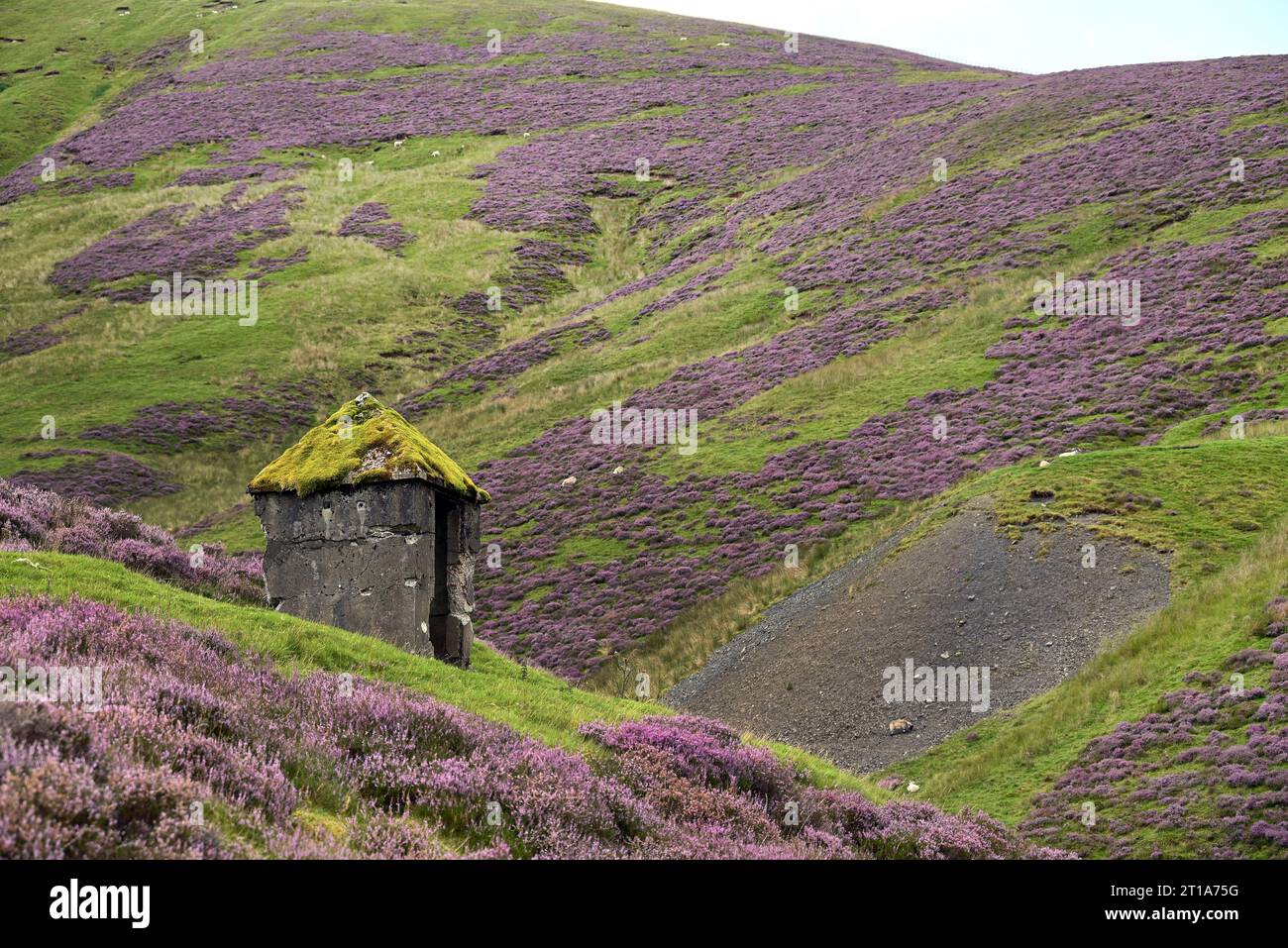 Remains of the lead-zinc mine activity in the village of Wanlockhead ...
