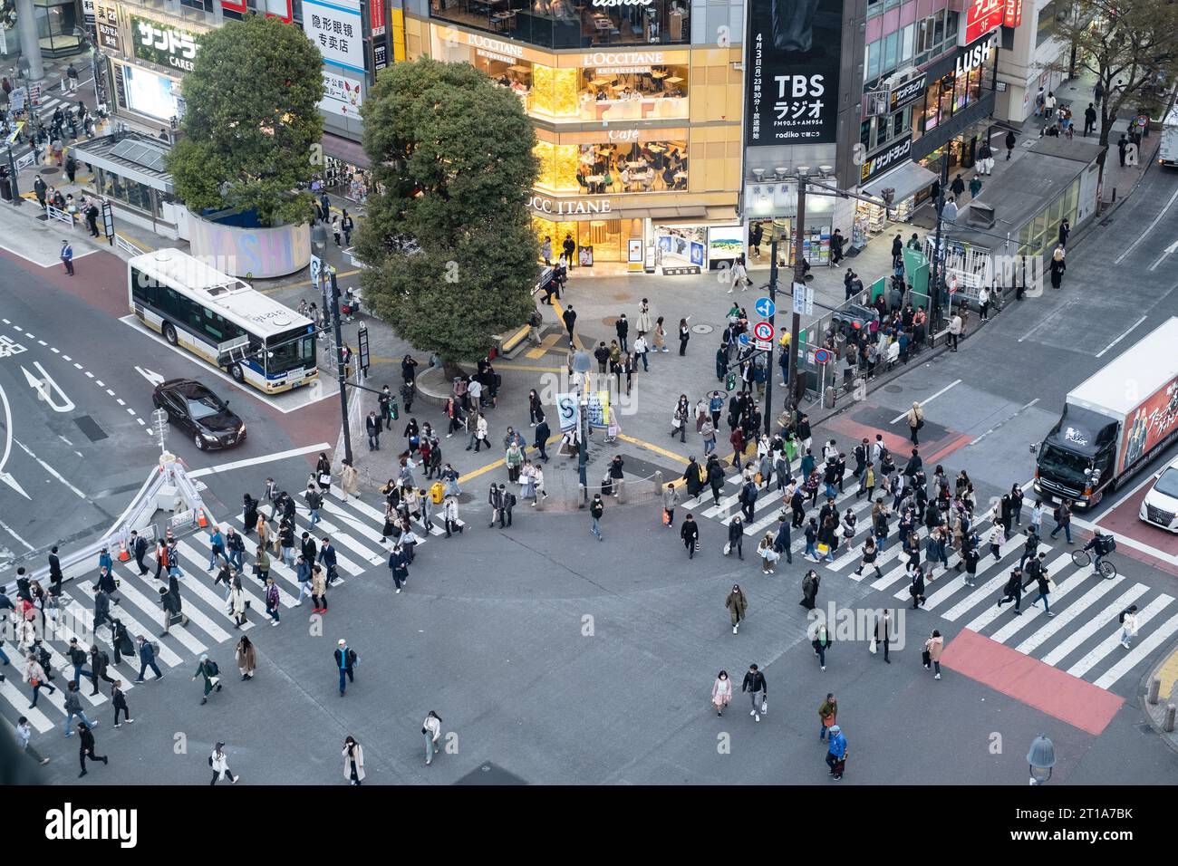 Shibuya Scramble Crossing viewed from above, late afternoon. Tokyo, Japan Stock Photo - Alamy