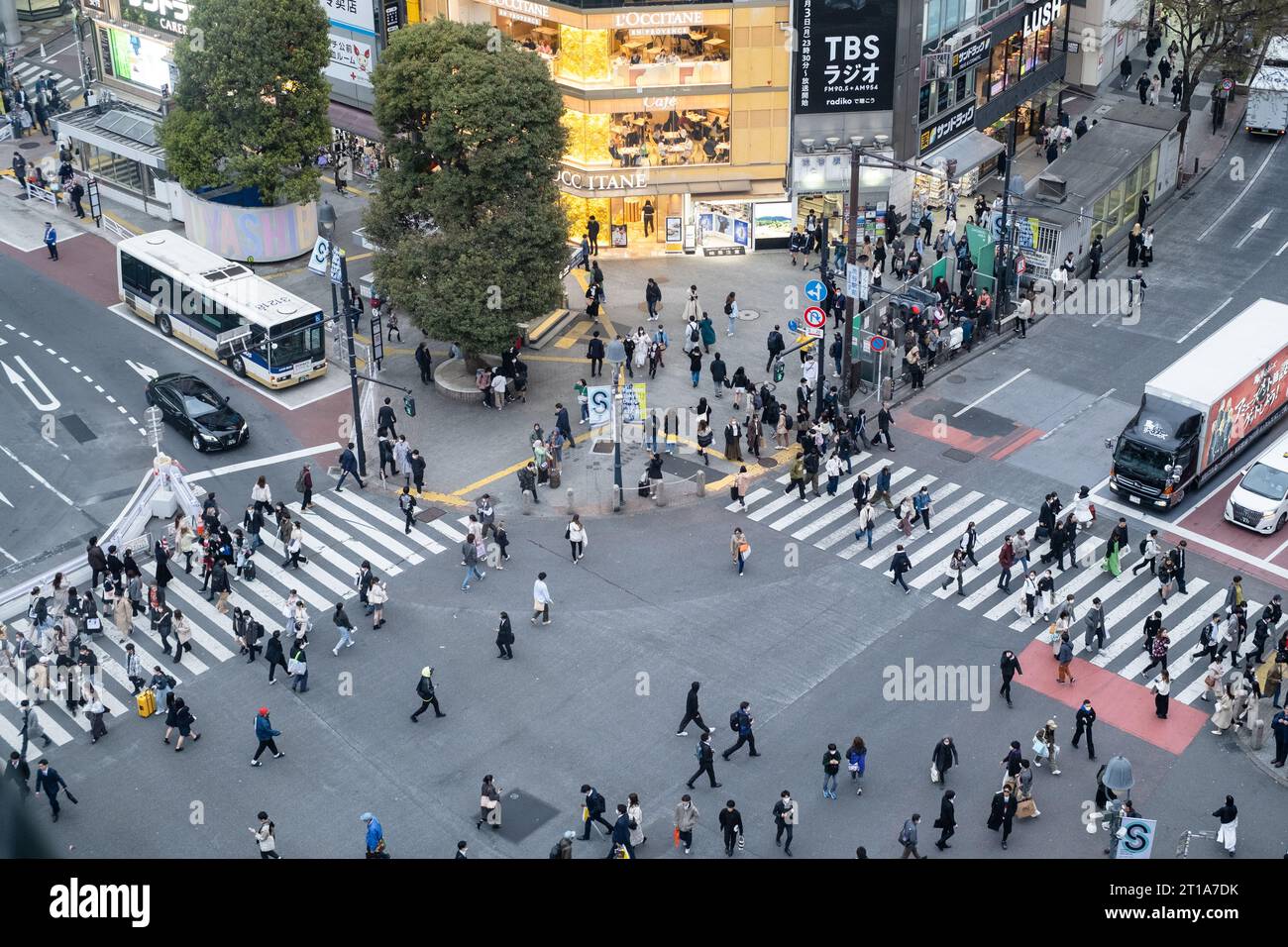 Shibuya Scramble Crossing viewed from above, late afternoon. Tokyo ...