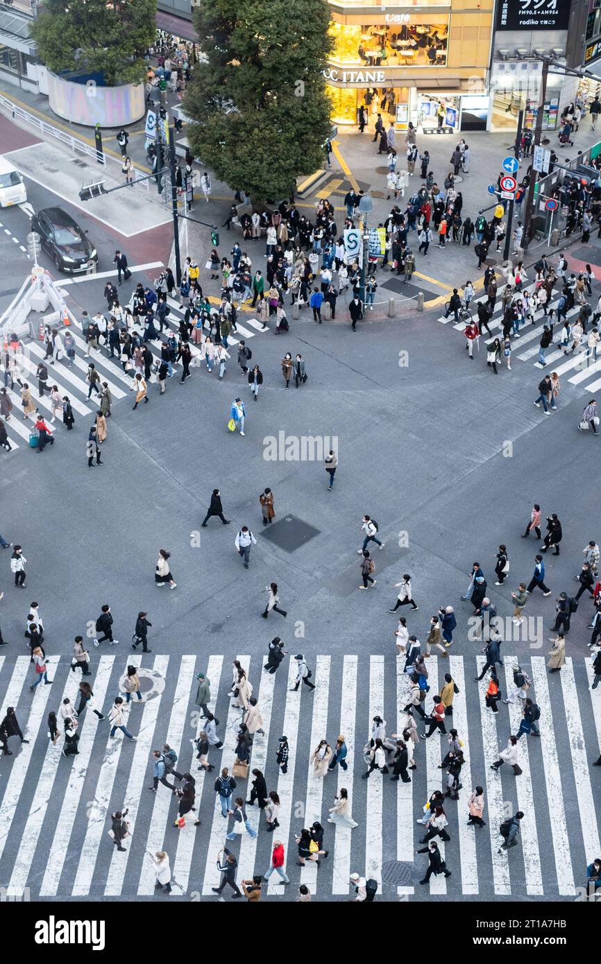 Shibuya Scramble Crossing viewed from above, late afternoon. Tokyo, Japan Stock Photo - Alamy