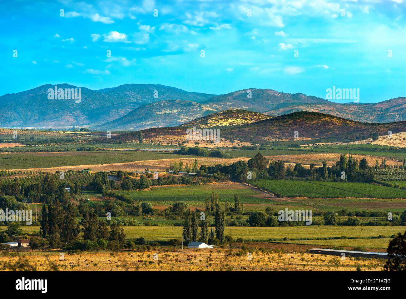 Crop fields and farms at Region del Maule in southern Chile Stock Photo ...
