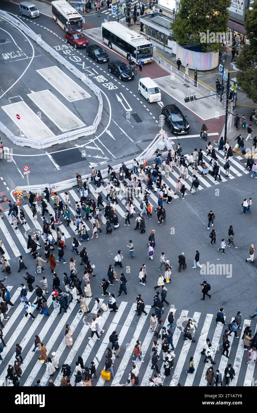 Shibuya Scramble Crossing viewed from above, late afternoon. Tokyo, Japan Stock Photo - Alamy