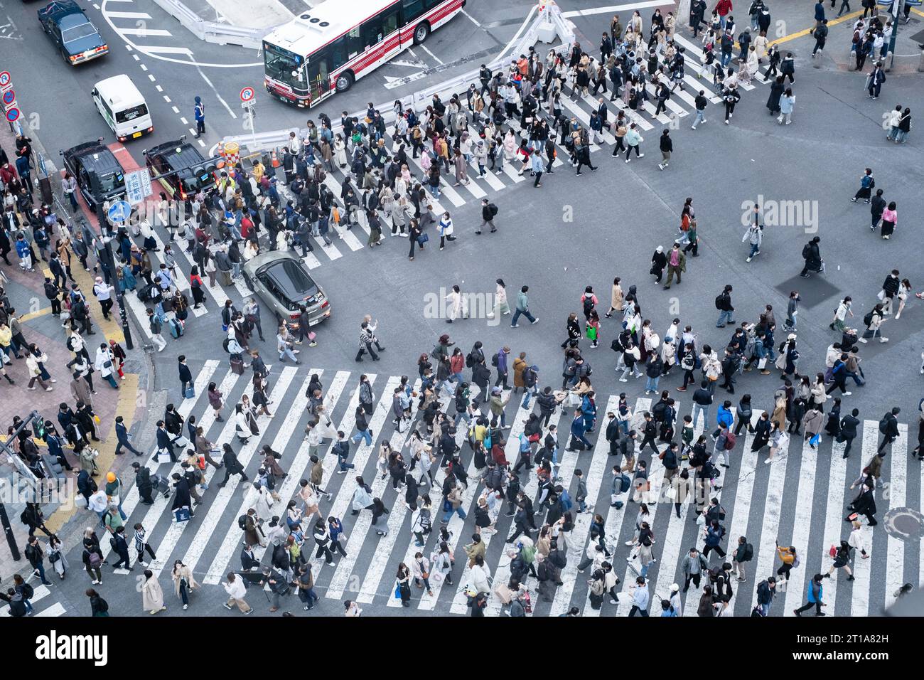 Shibuya Scramble Crossing viewed from above, late afternoon. Tokyo, Japan Stock Photo - Alamy