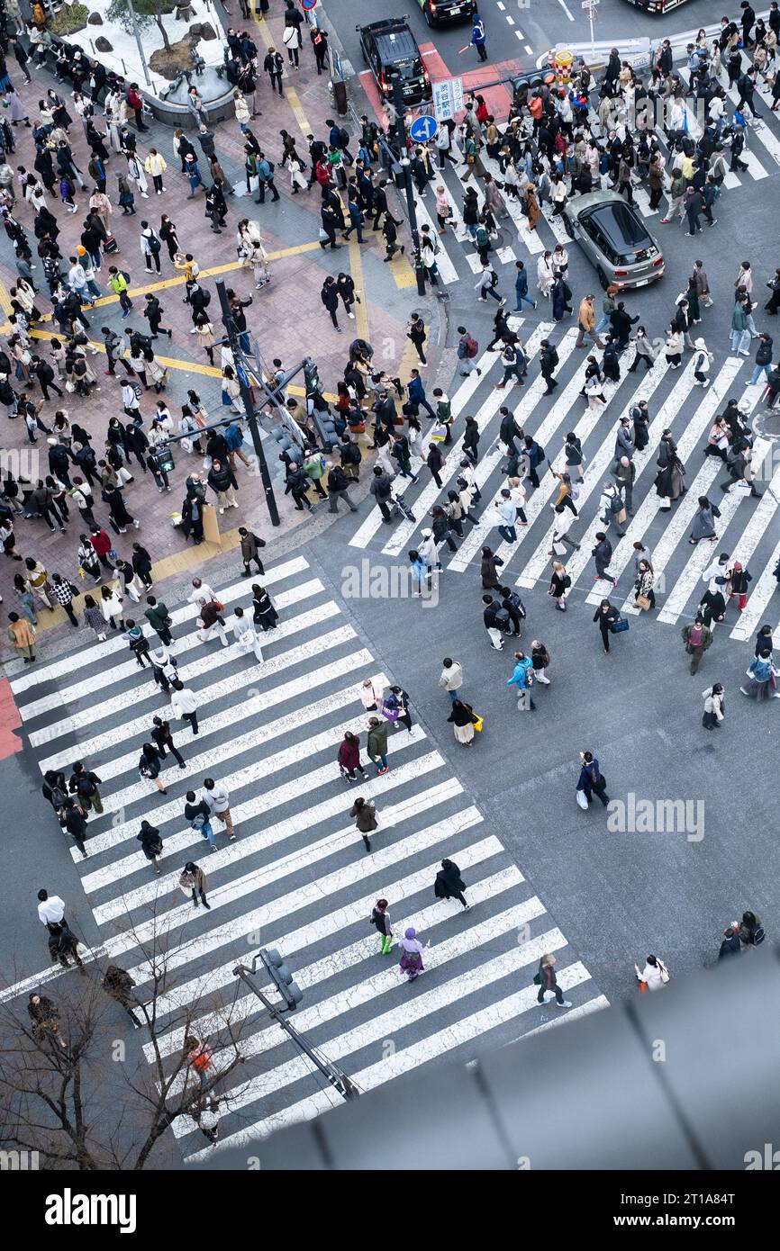 Shibuya Scramble Crossing viewed from above, late afternoon. Tokyo, Japan Stock Photo - Alamy