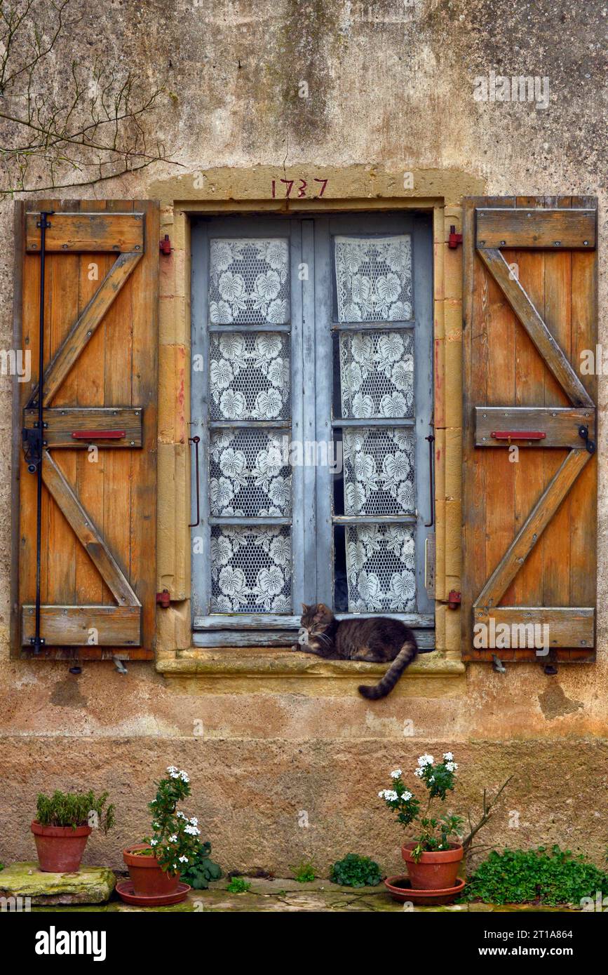 European windows and door collection Stock Photo - Alamy
