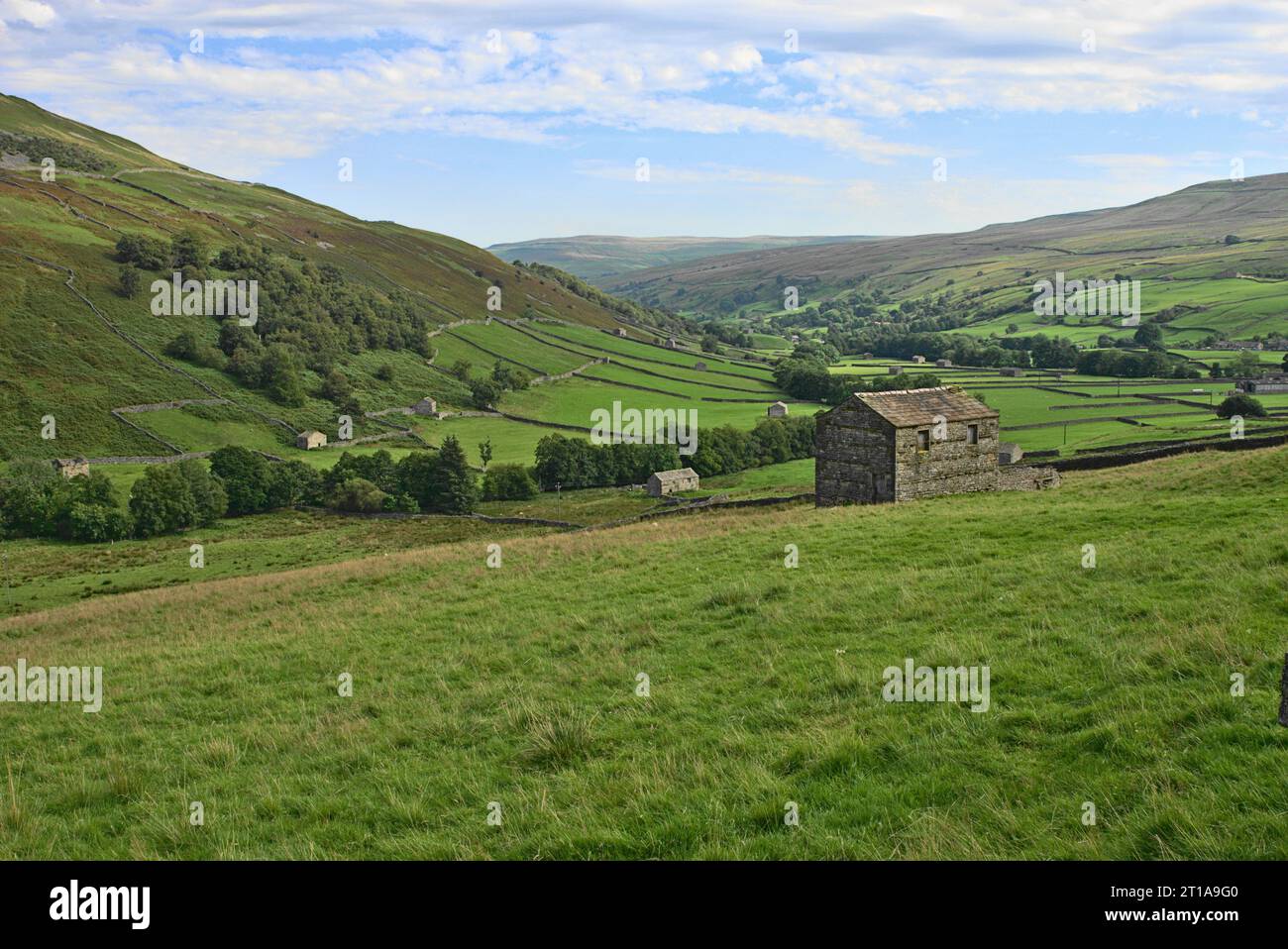 Meadows, Barns and Drystone Walls in Upper Swaledale – between Keld and ...