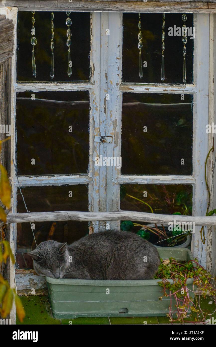 European windows and door collection Stock Photo - Alamy