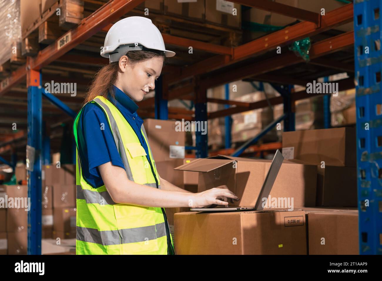 Smart warehouse management staff using laptop computer monitor ...