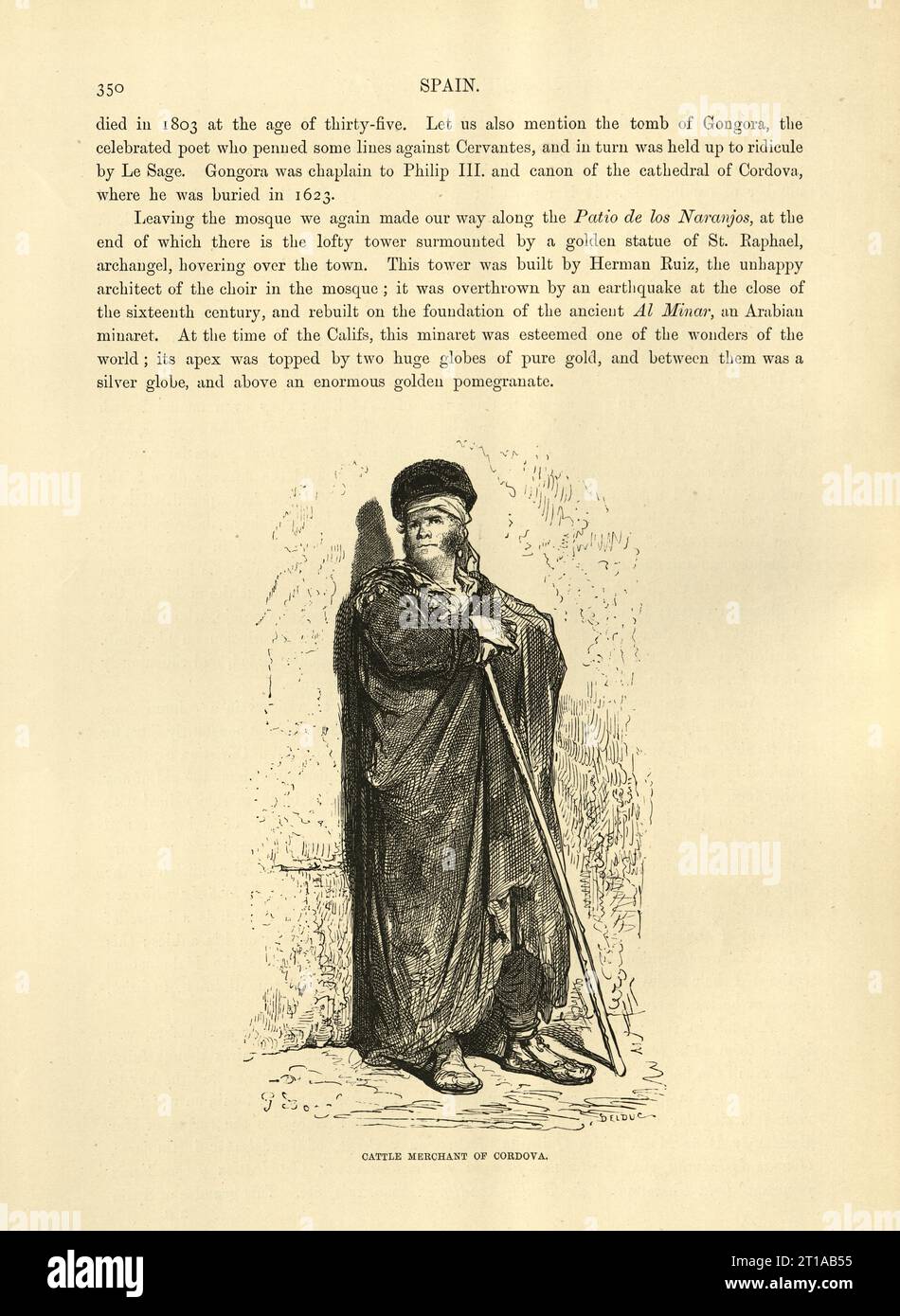 Vintage illustration by Gustave Dore, Traditional Spanish cattle ...