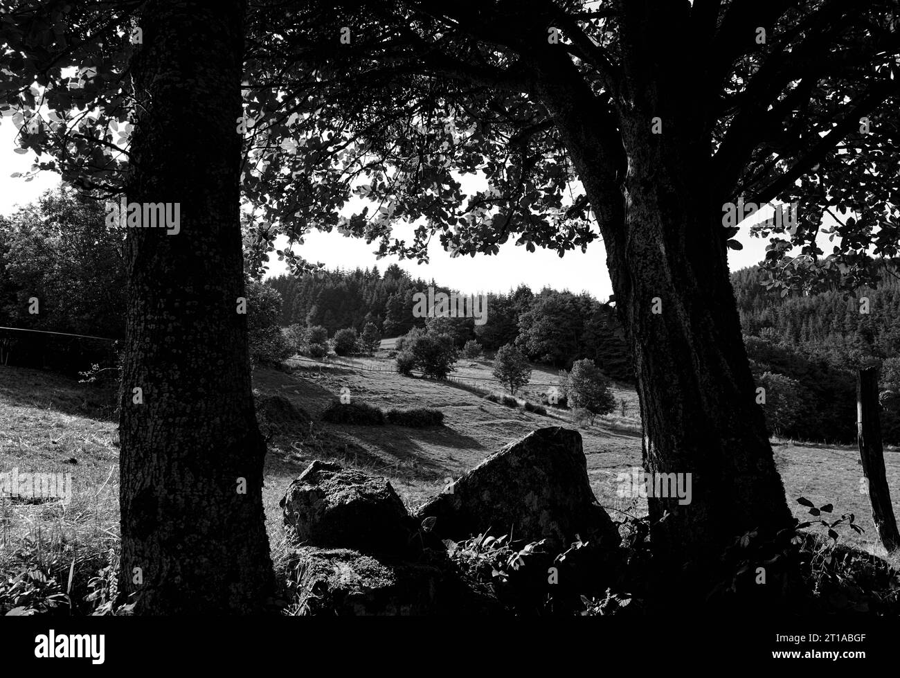 Rustic countryside animal Black and White Stock Photos & Images - Alamy