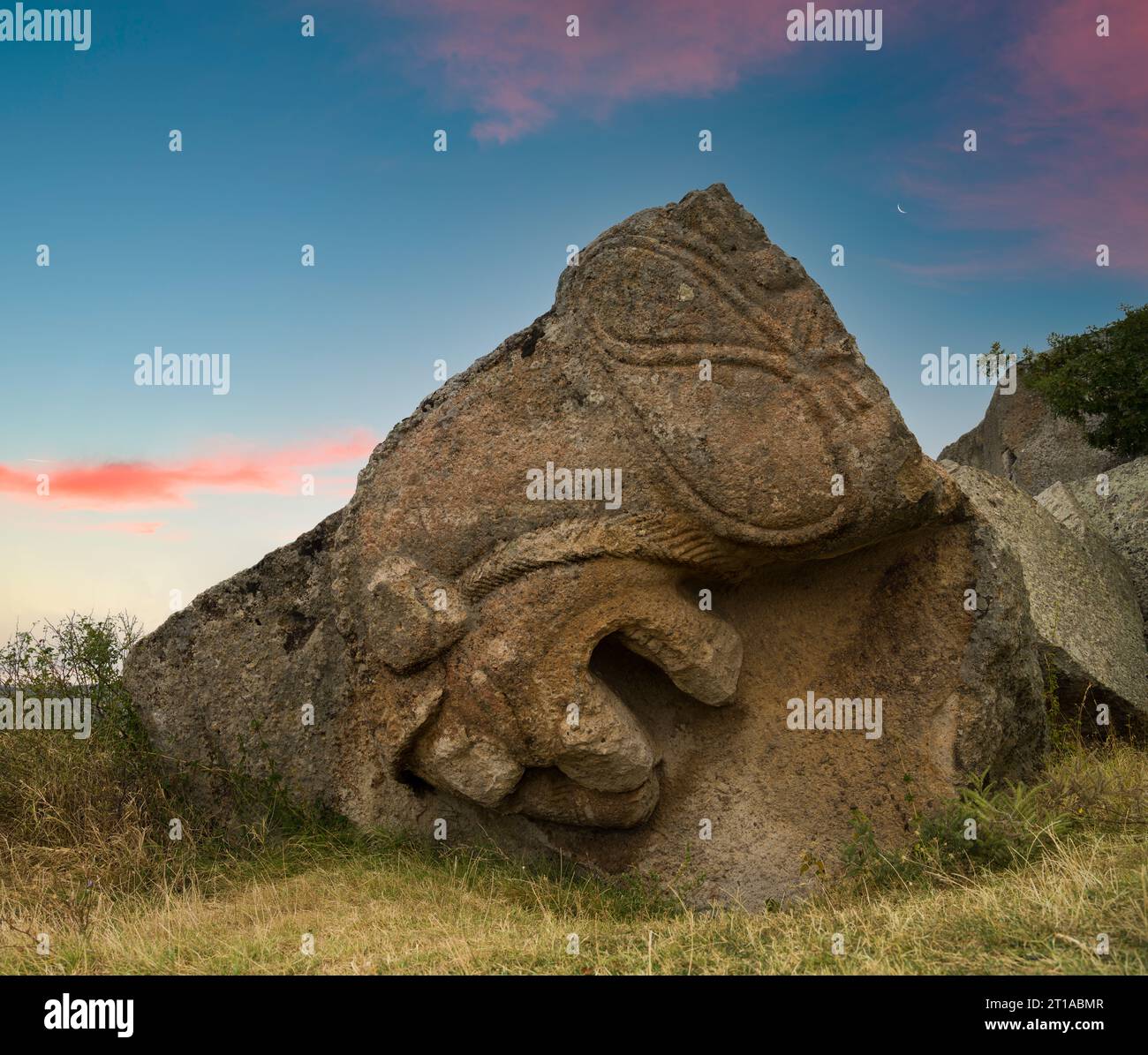 Yilantas hi-res stock photography and images - Alamy