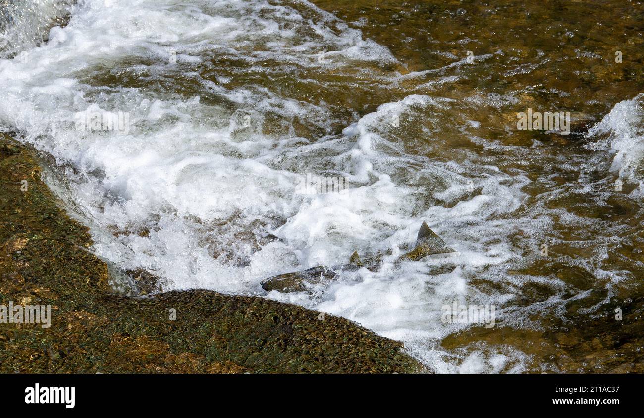 Fish jump dam hi-res stock photography and images - Alamy