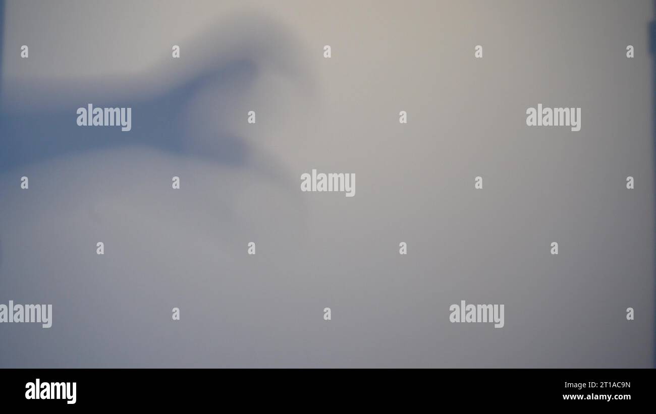 Shadow Blur of a horror man behind frosted glass. Blurred hand, body shape abstraction and one ...