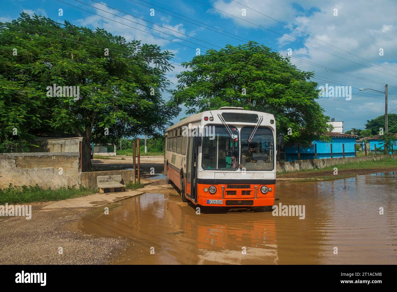 29.09.2022. Cuba, Perico. Pegaso swimming in spread puddle Stock Photo ...