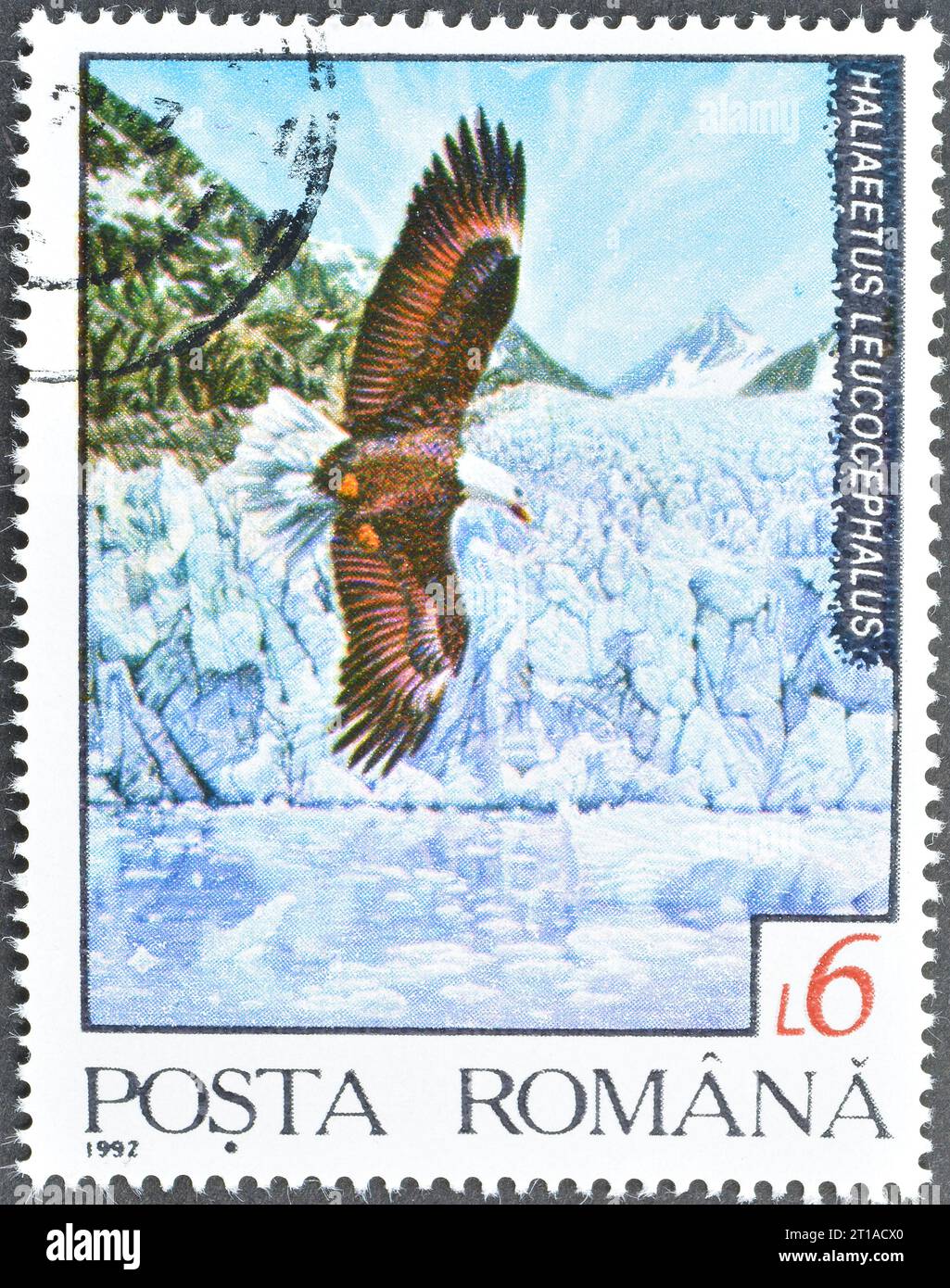 Cancelled postage stamp printed by Romania, that shows Bald Eagle ...
