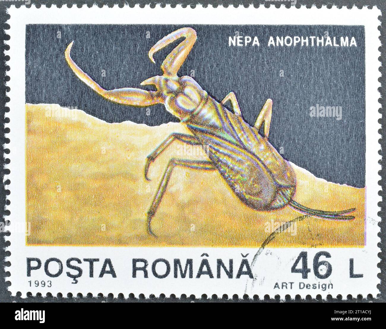 Cancelled postage stamp printed by Romania, that shows Stygobiotic ...