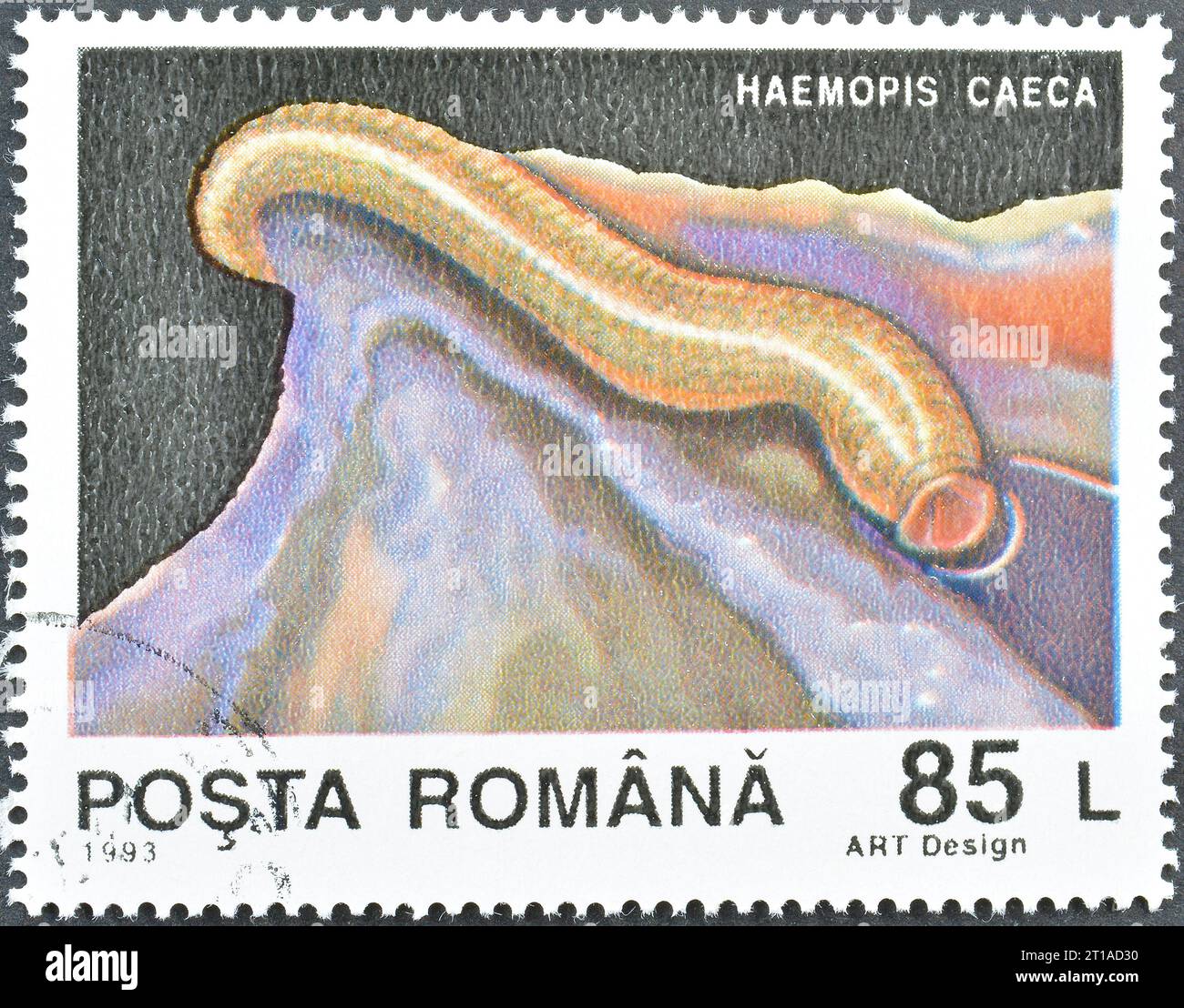 Cancelled postage stamp printed by Romania, that shows Leech (Haemopis ...