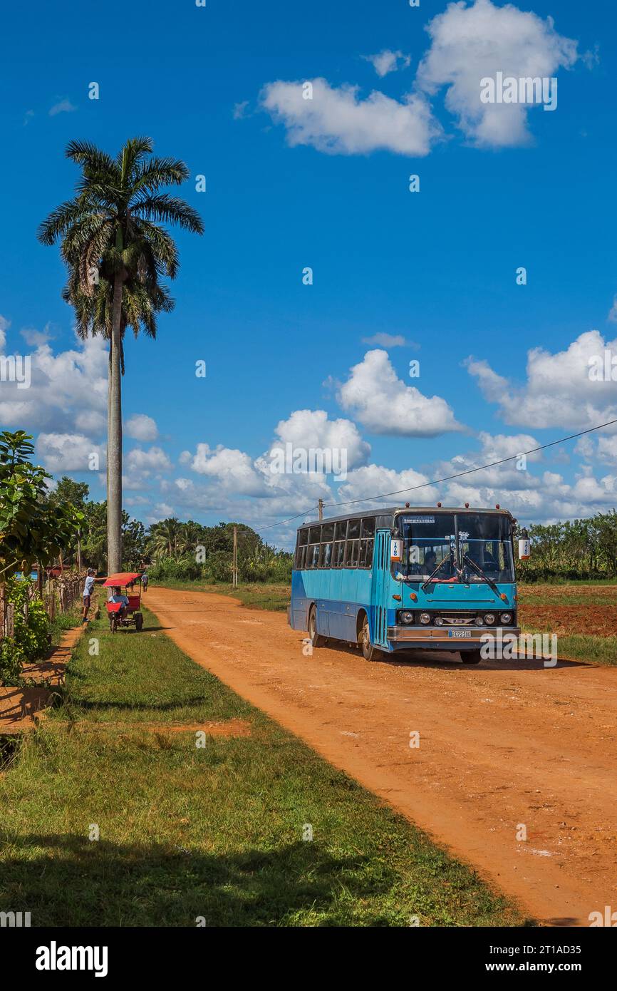 Guira de melena hi-res stock photography and images - Alamy