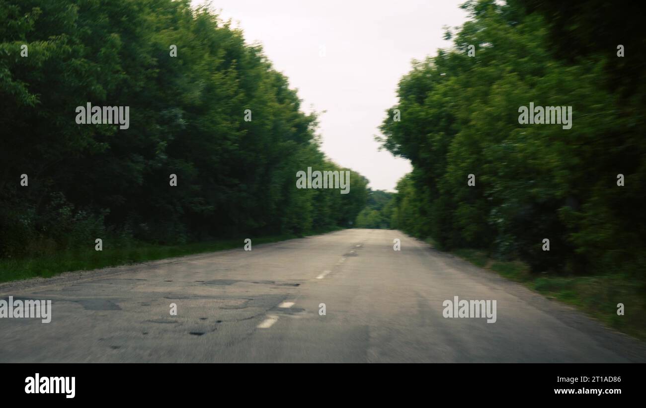 Car driving through rainforest in hi-res stock photography and images ...