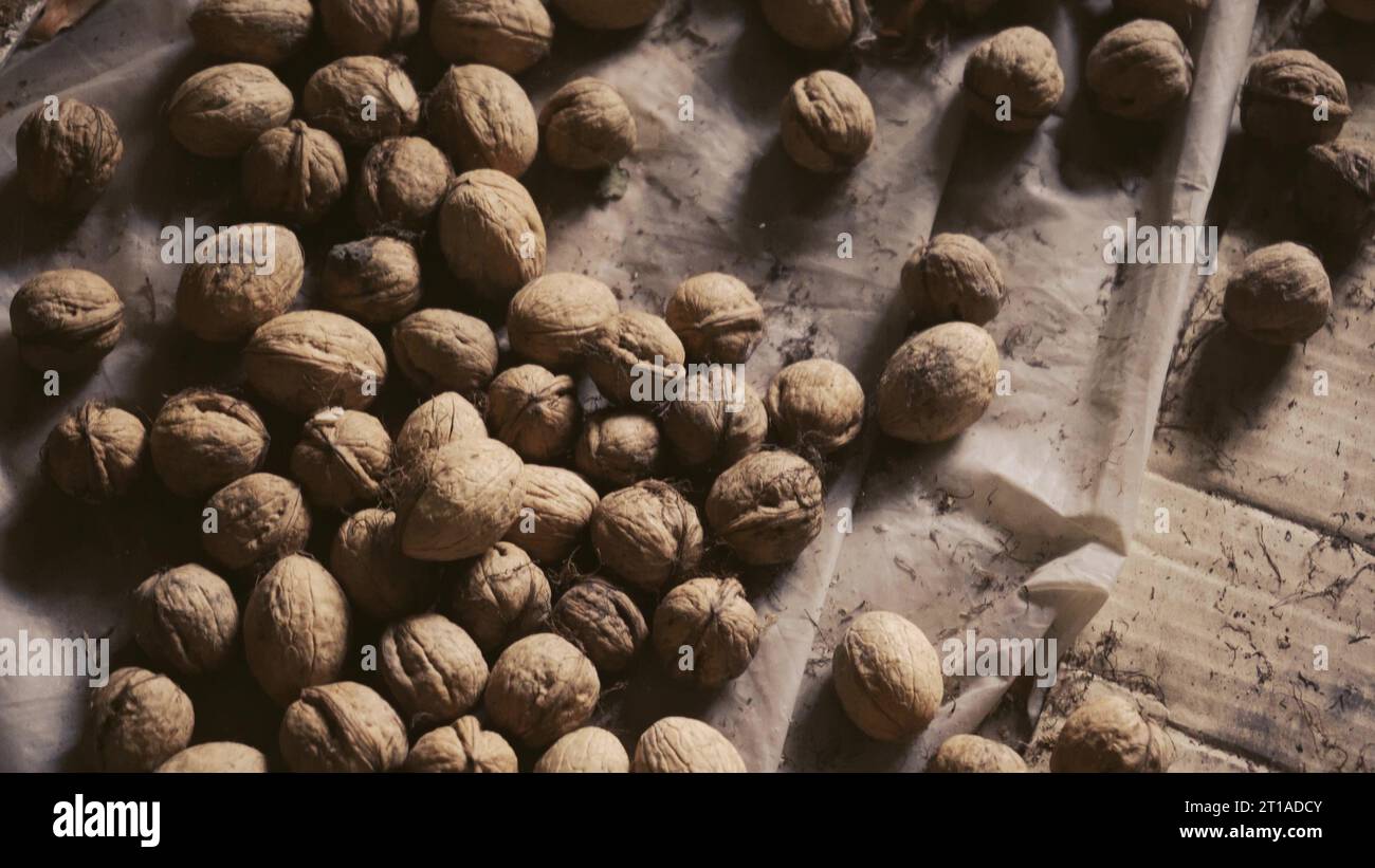Walnuts close up rotating up hi-res stock photography and images - Alamy
