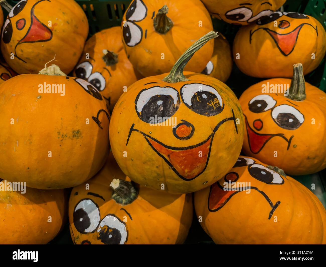 Cheerful eyes hi-res stock photography and images - Alamy