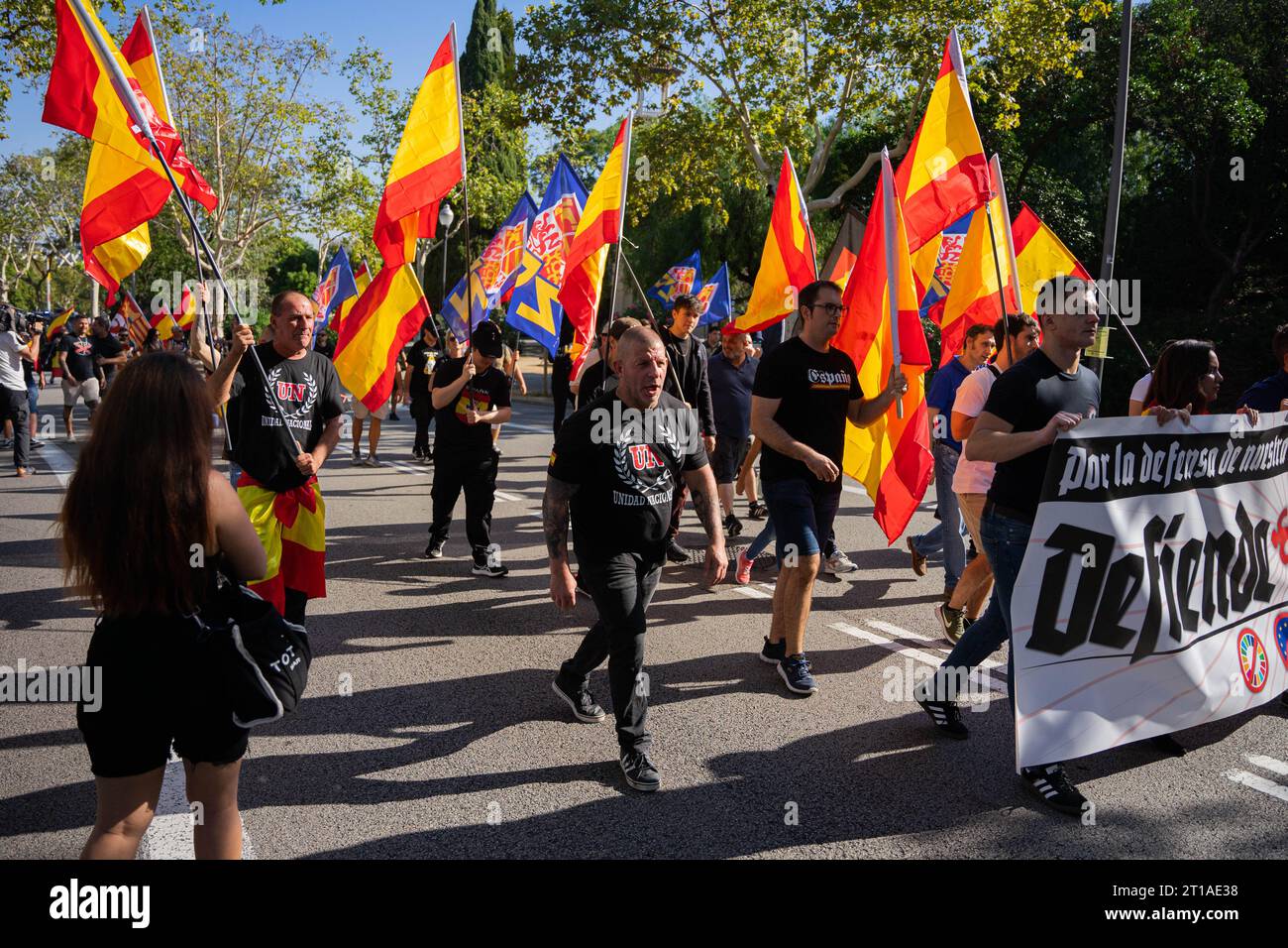 Fascist flags hi-res stock photography and images - Alamy